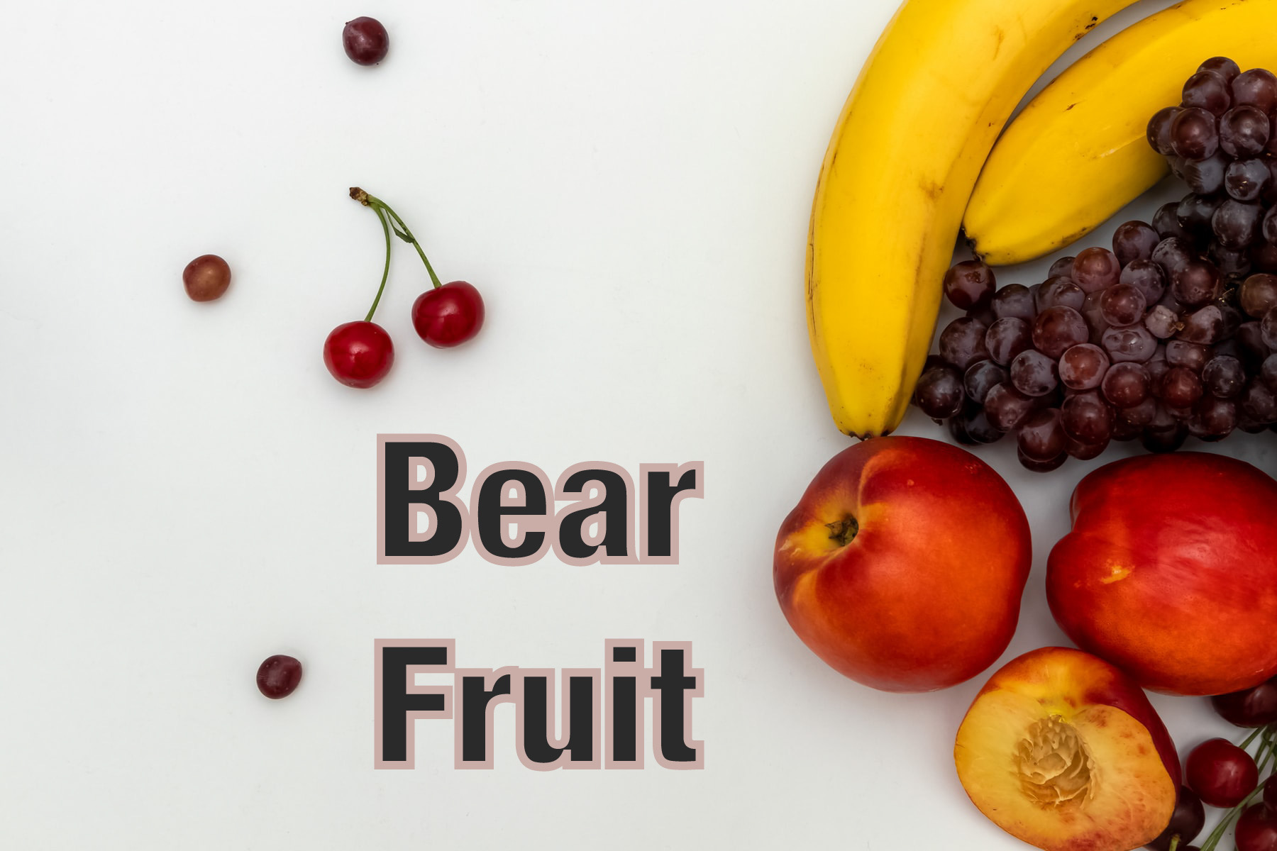 Bear Fruits