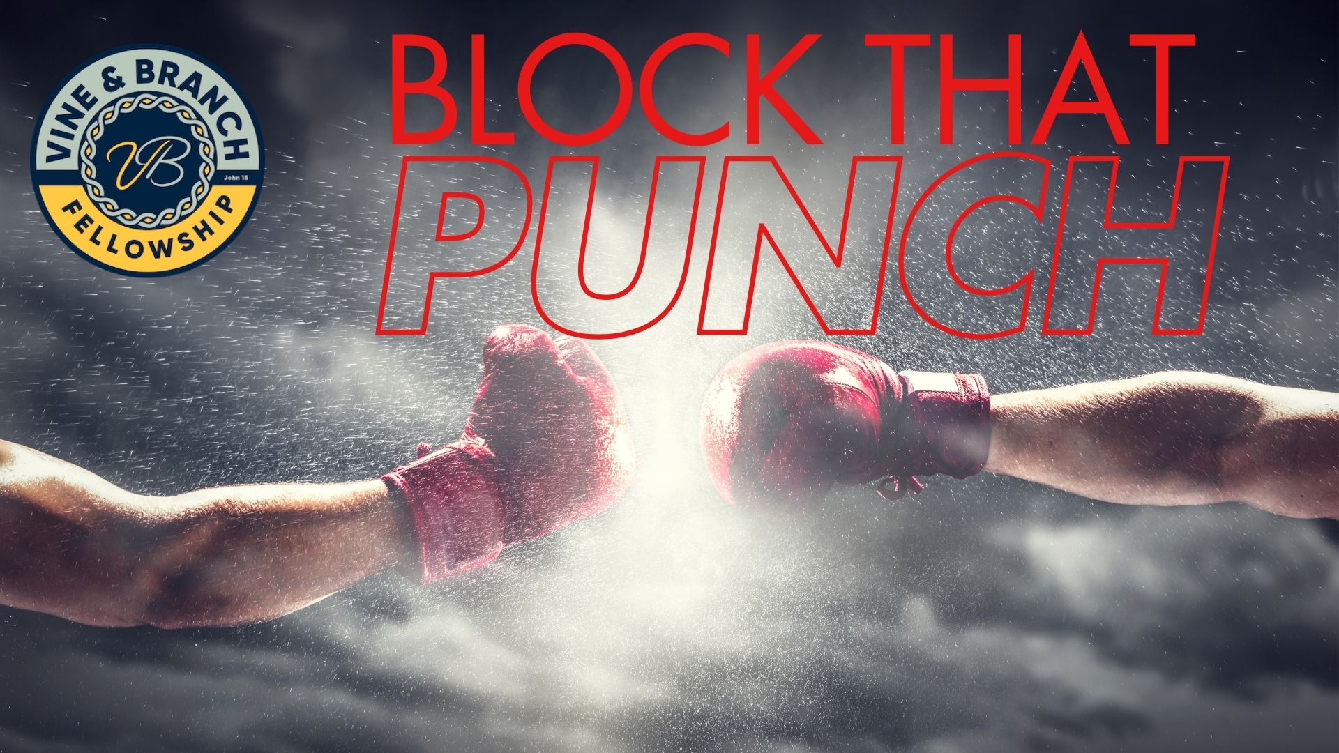 Block That Punch | Vine & Branch Fellowship