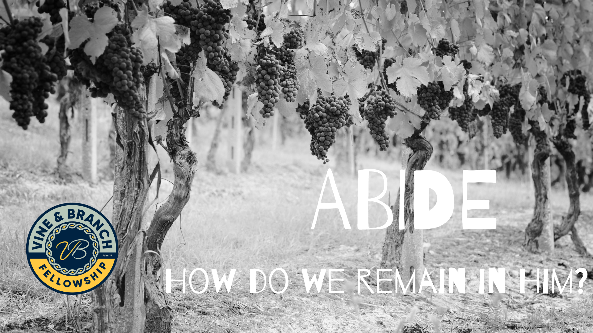 Abide | Vine & Branch Fellowship
